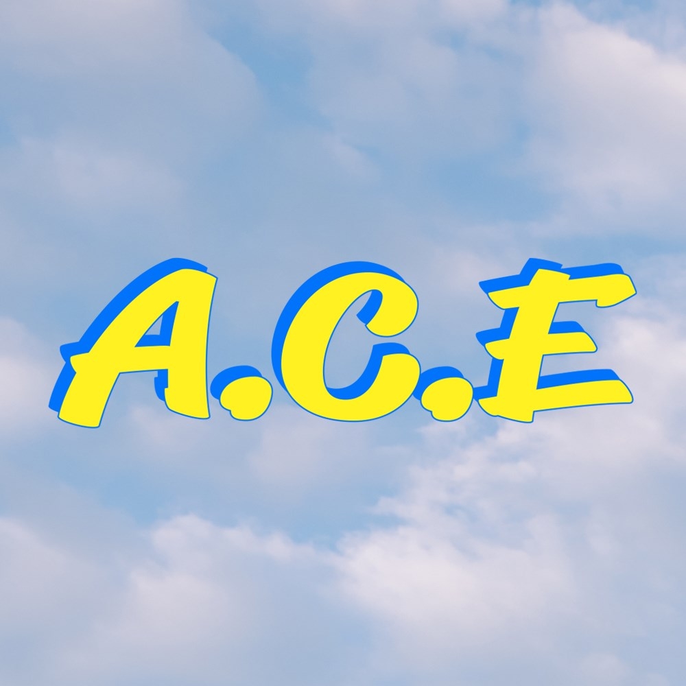 A C E s Page a-c-e-s-page
